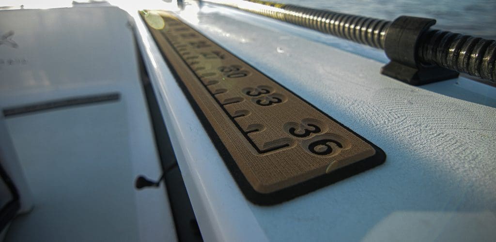 Fish Rulers - SeaDek