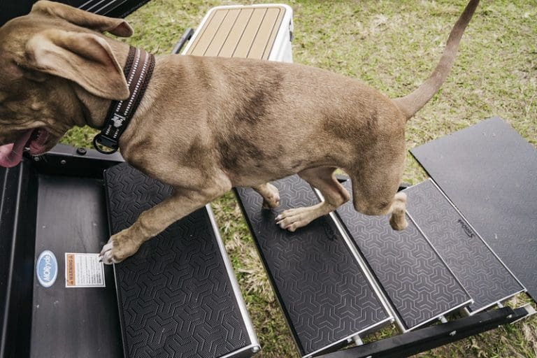 RV Step Covers - Tetrapod - 23" x 12" - SeaDek